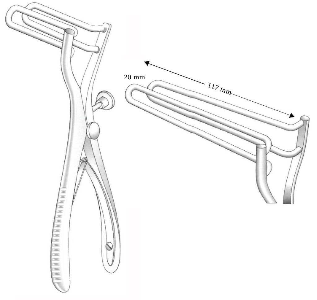 Espéculo rectal Sims, acero inoxidable, valva = 20 x 117 mm ...